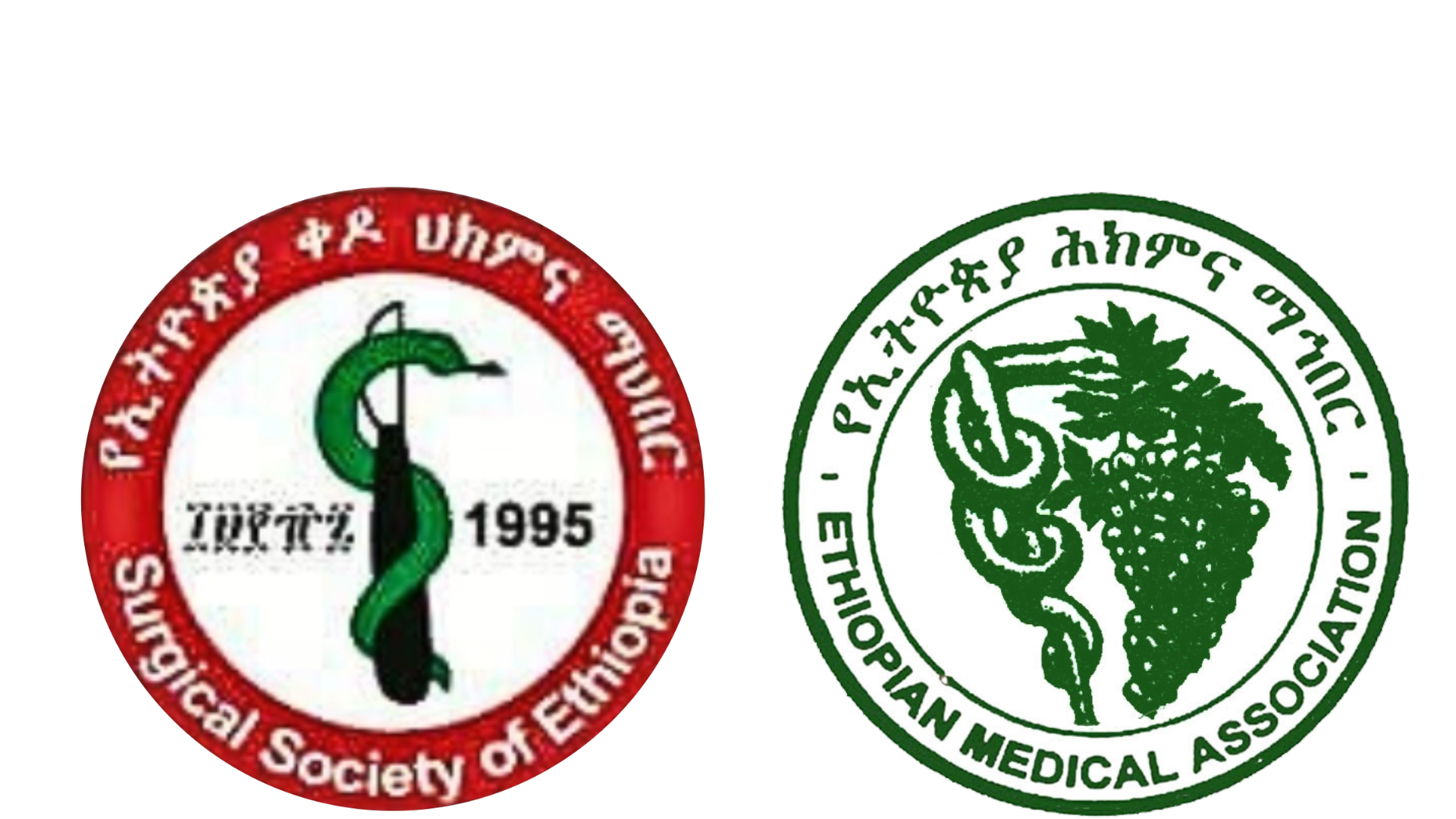 Understanding Deep Vein Clots: A Simple Guide – Dr Dagim Leykun ...